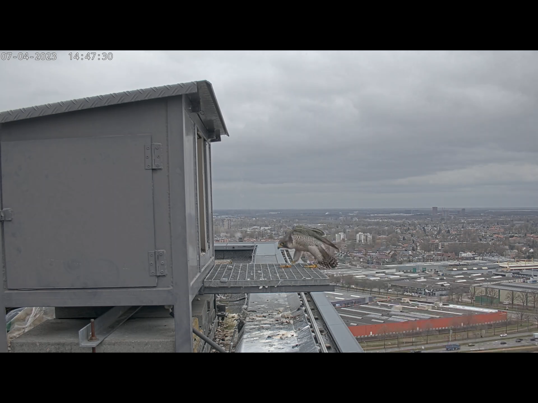 3734354 D 4 E4 F 4770 9 D59 AC89731831 E6 — Postimages