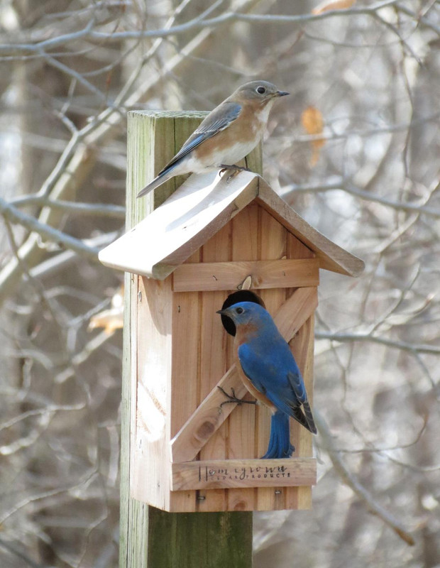 thumbnail (23) — Postimages