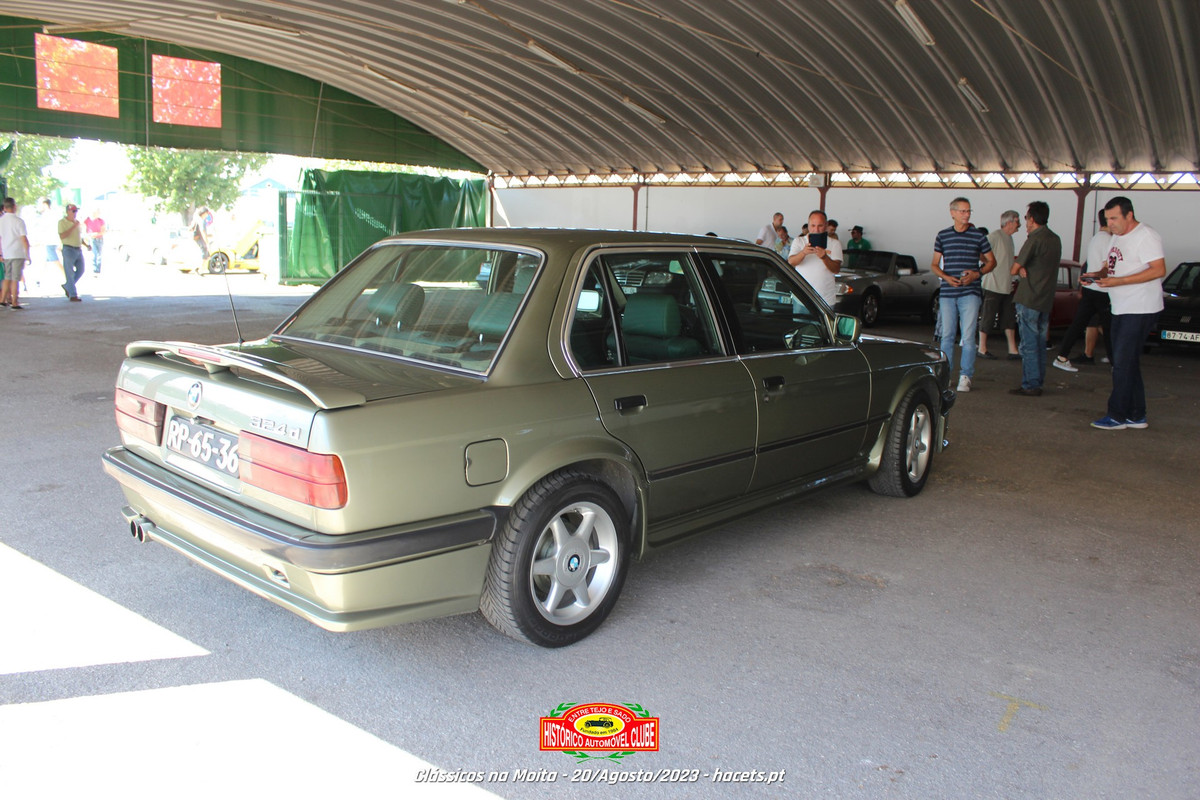 IMG 8338 — Postimages