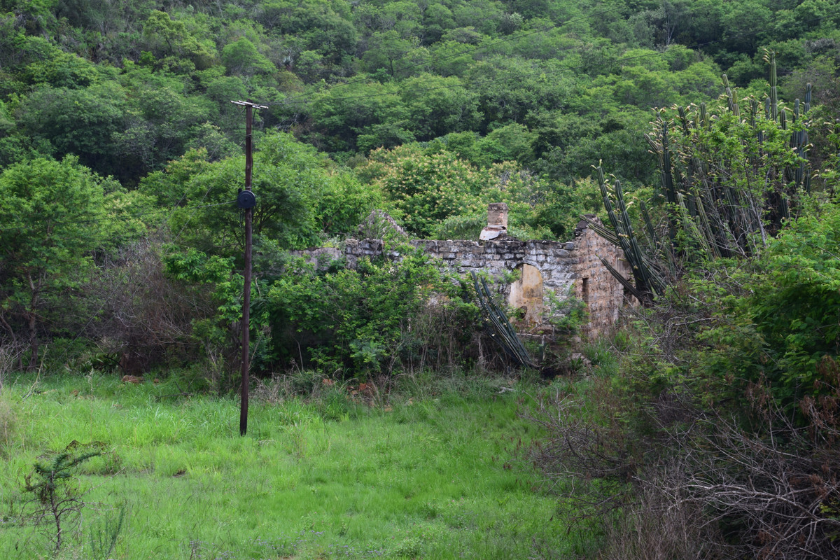 DSC 0226 — Postimages