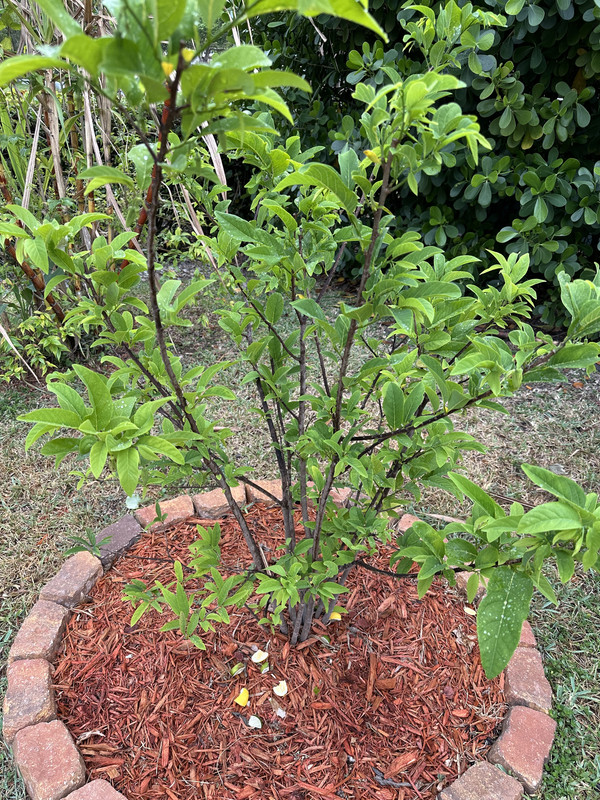 IMG 3927 — Postimages