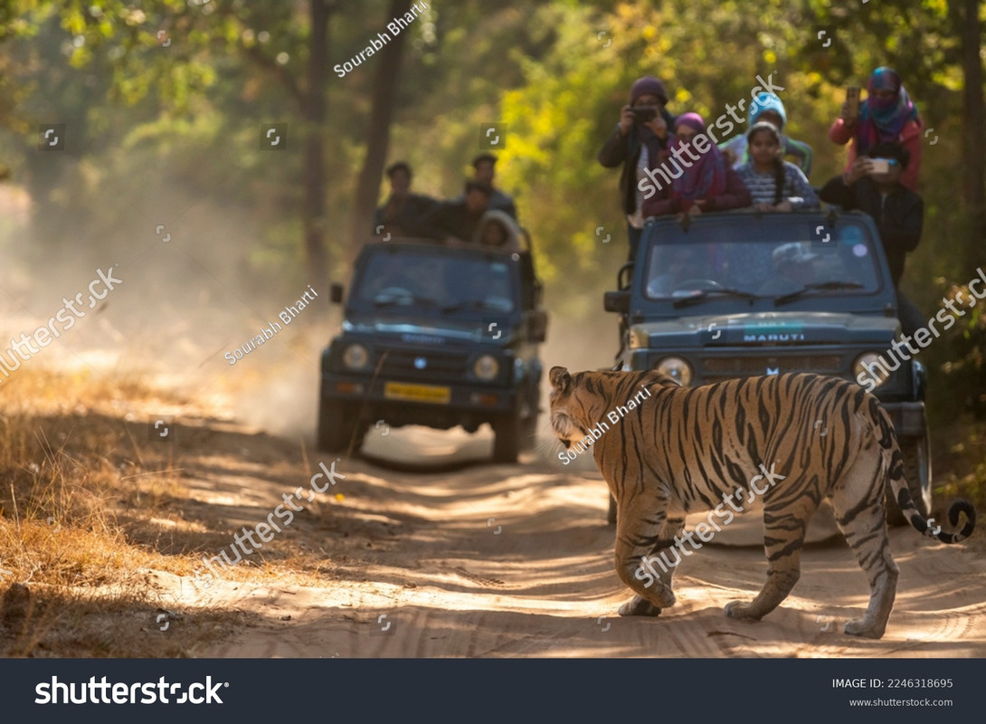 stock — Postimages