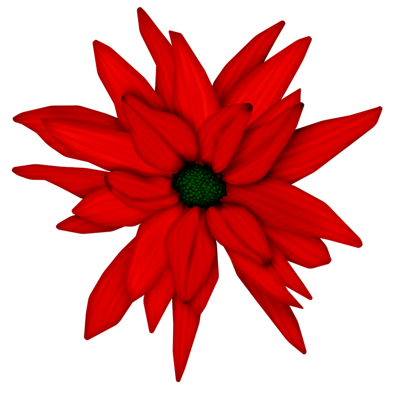 cp novdec2010mk flower1 — Postimages