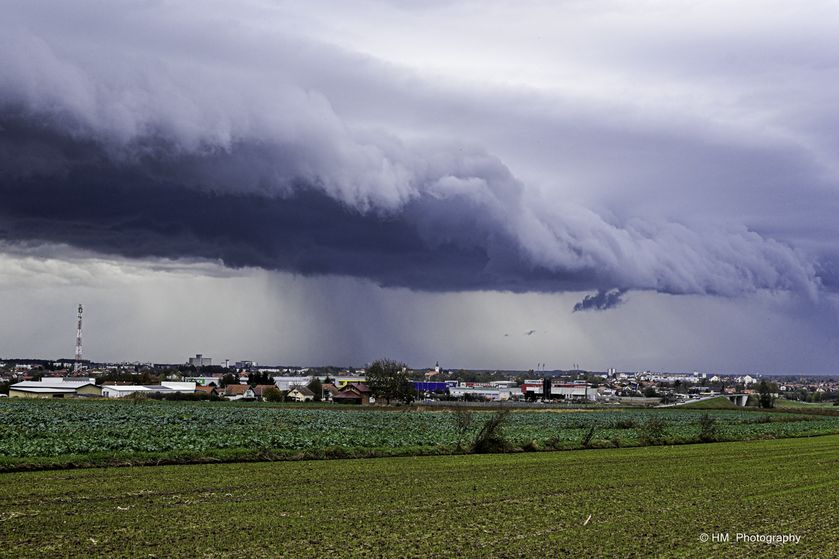 HM1 1141 — Postimages