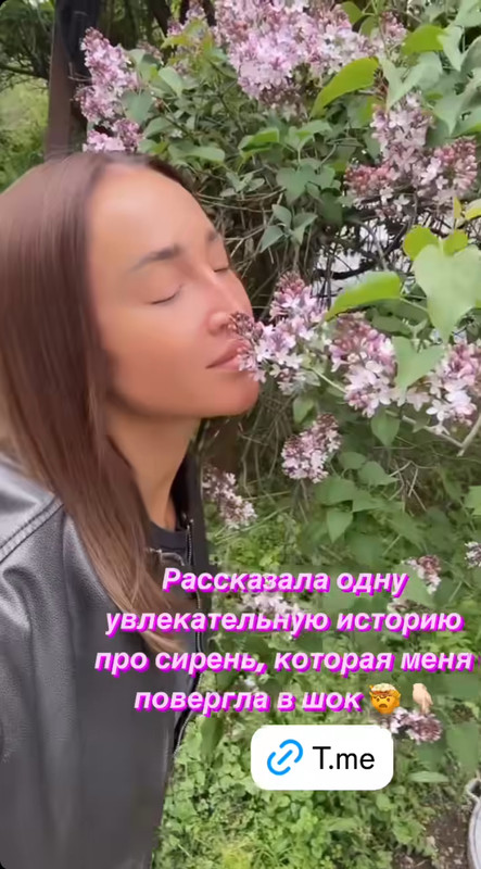 IMG 1216 — Postimages