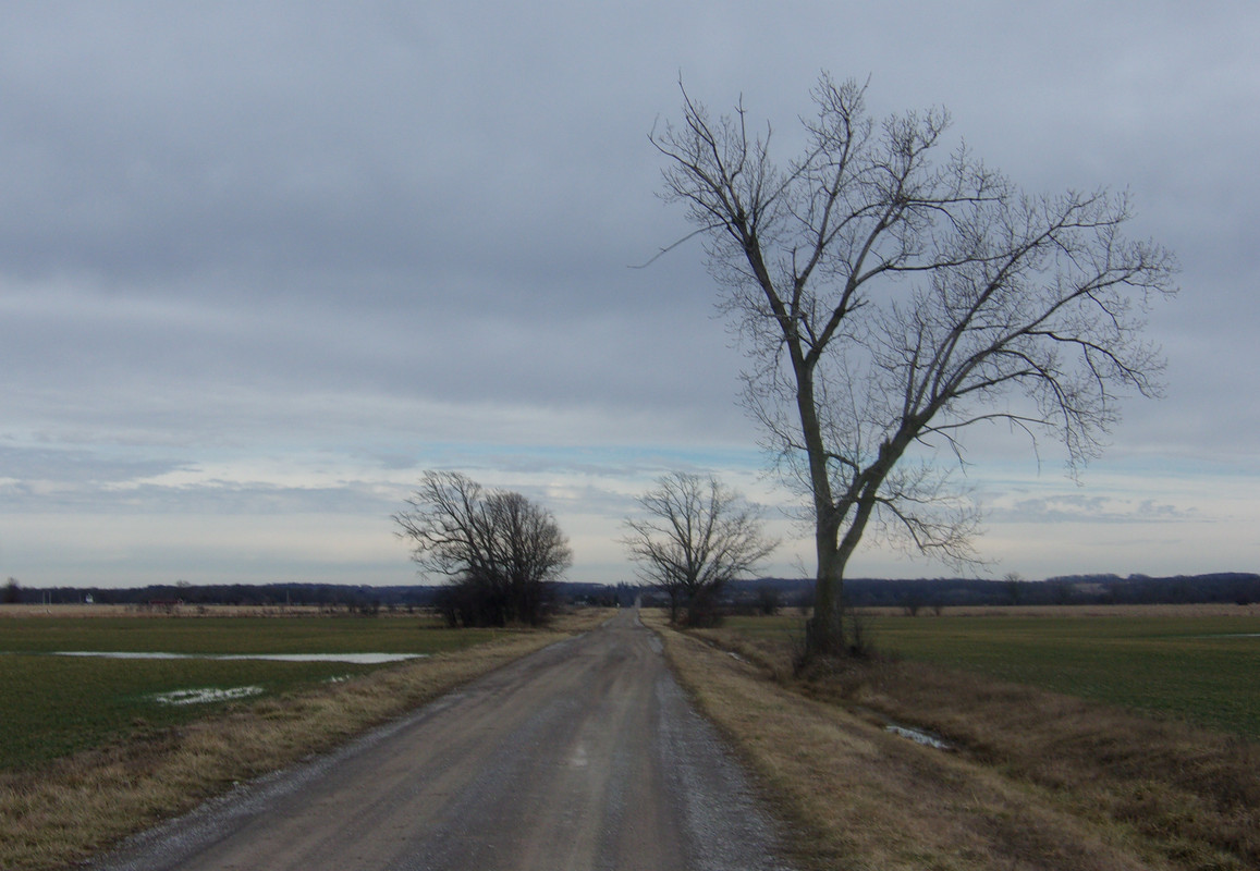 RunningAHEAD - Topic: February Fun Runs