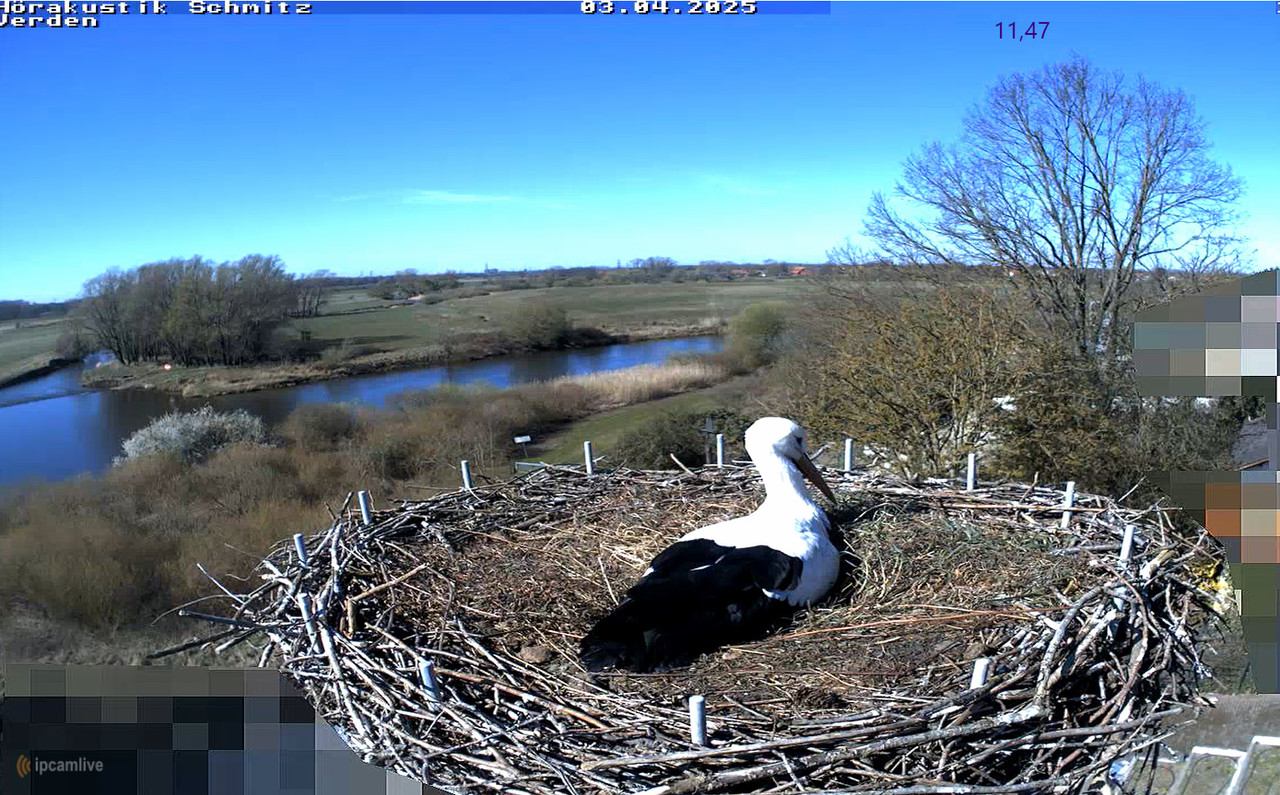 bandicam 2025 04 03 11 48 16 379 — Postimages