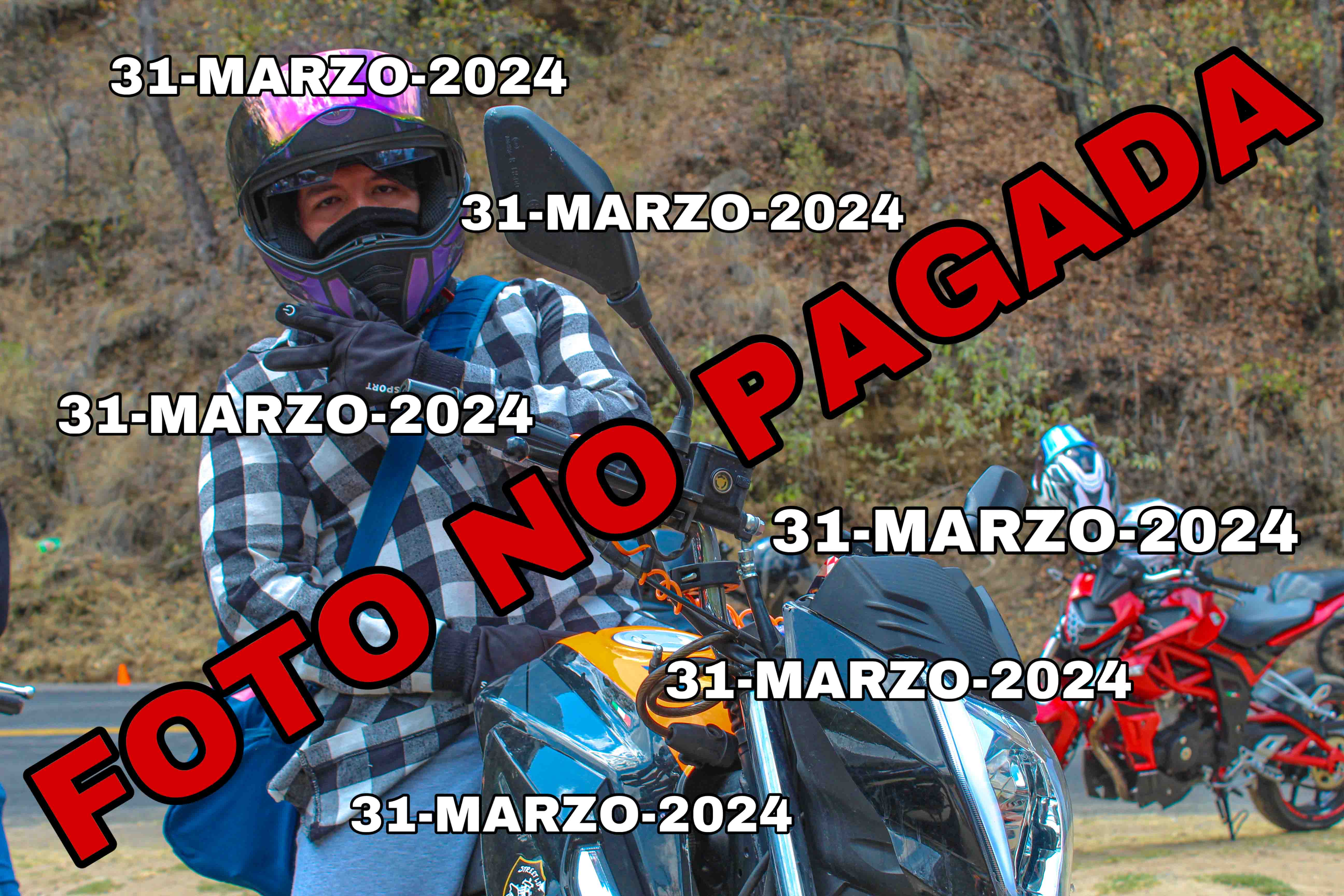 SC 141 — Postimages