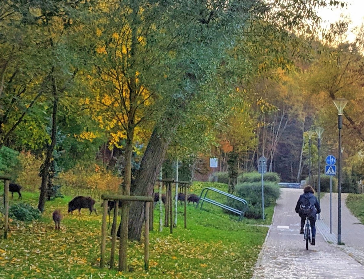 IMG1018 164154 01 — Postimages