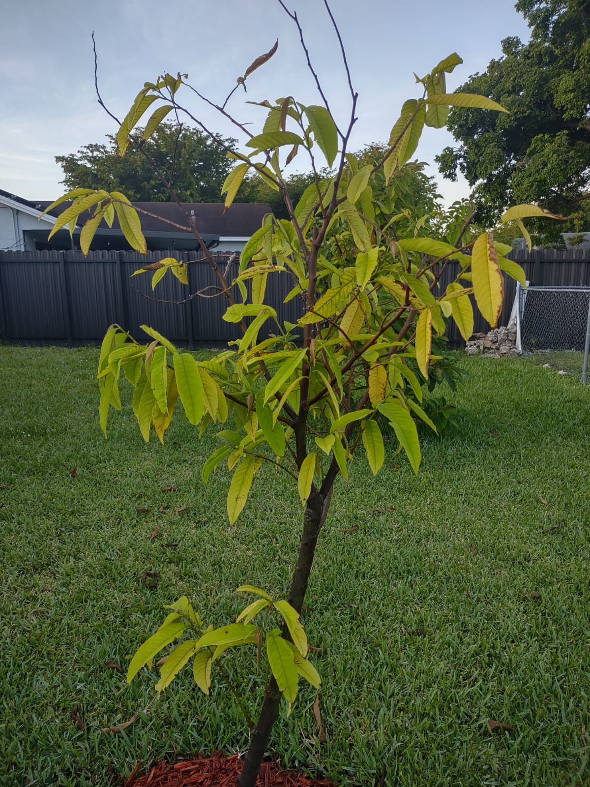 IMG 20230511 WA0001 — Postimages