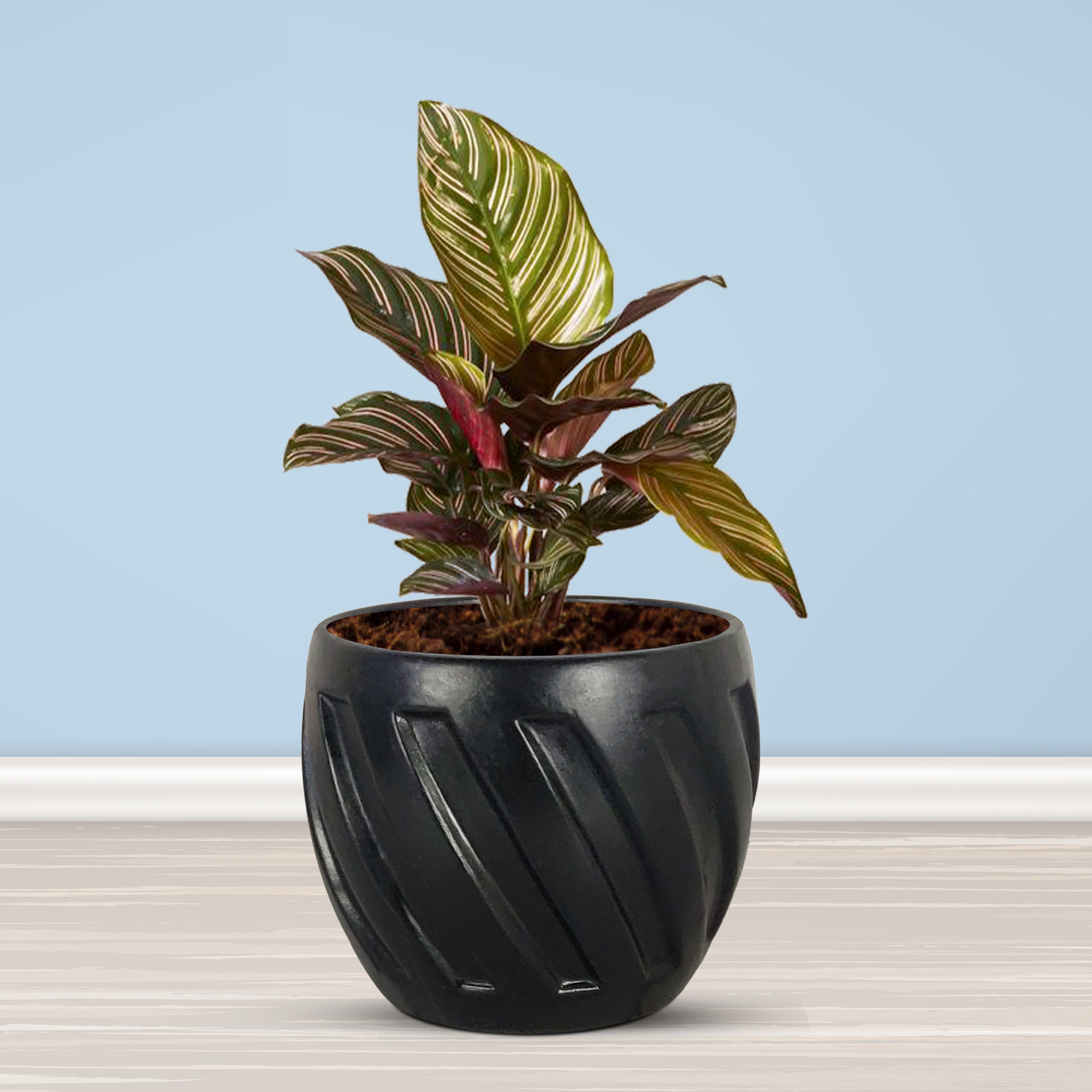 Untitled 1 Recovered copy — Postimages