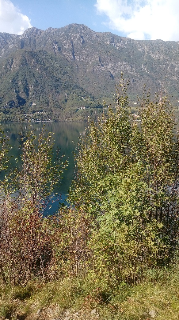 retsel xxx — Postimages