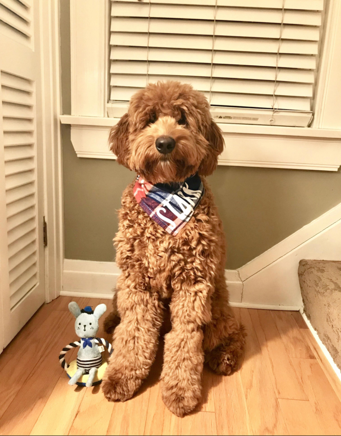 IMG 0016 — Postimages