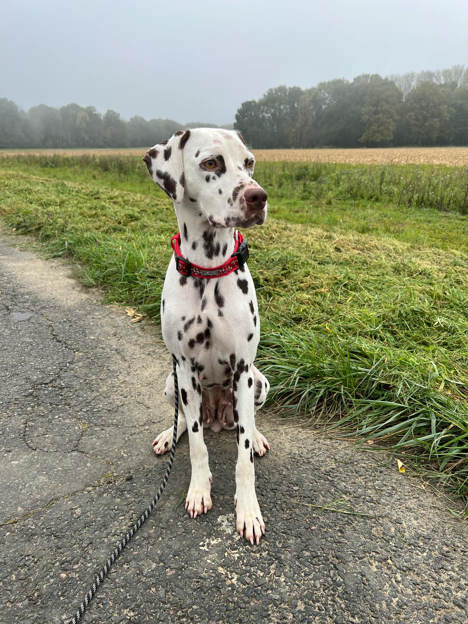 trinity post — Postimages