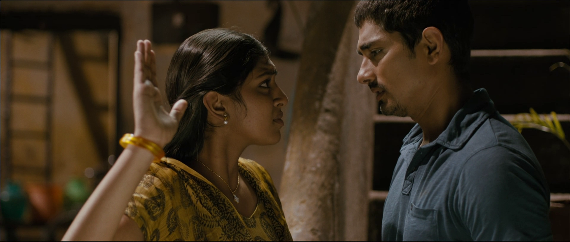 vlcsnap 2025 03 14 15h02m00s669 — Postimages