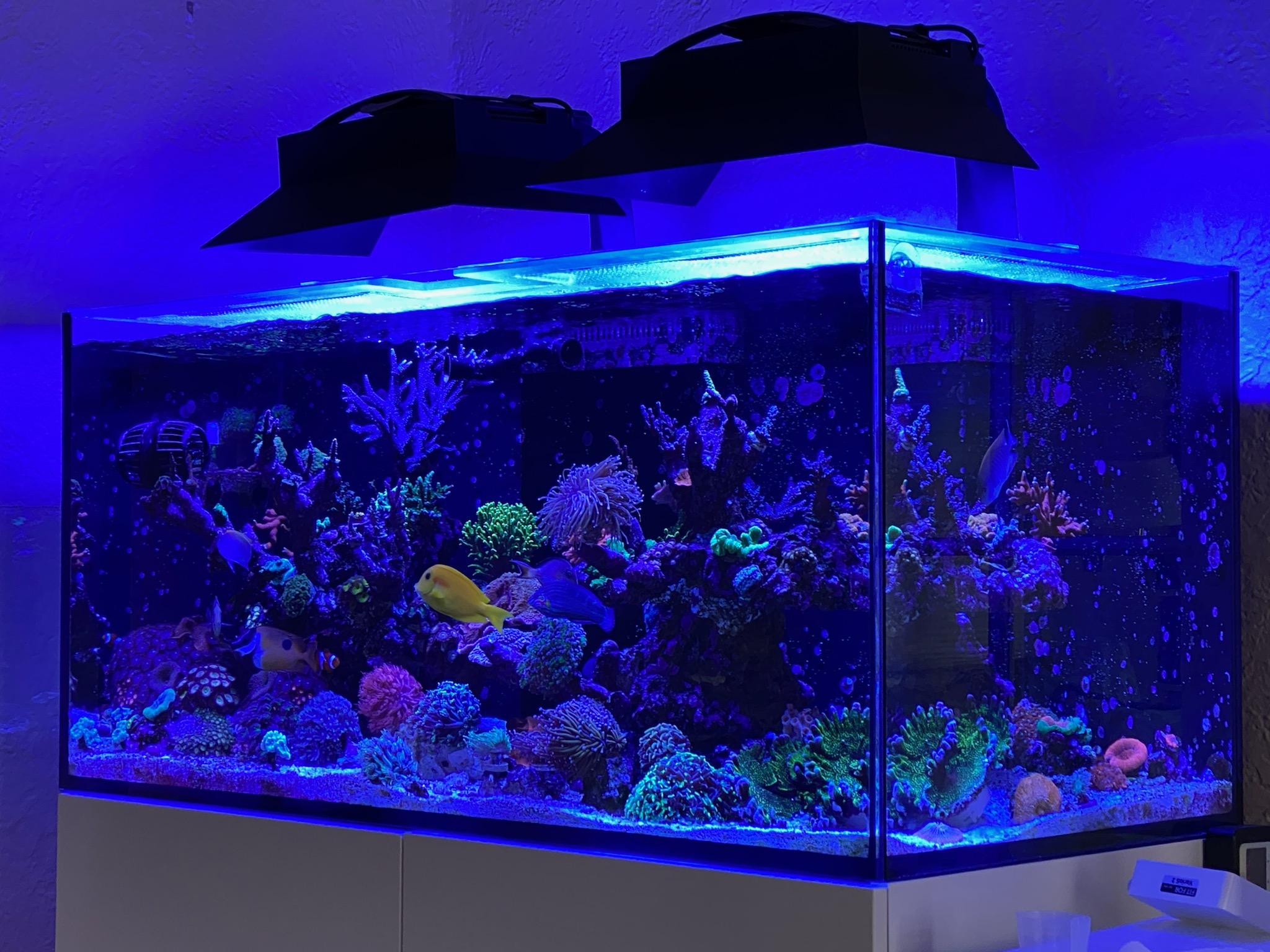 254901 3 D printed aquarium light shade in use — Postimages