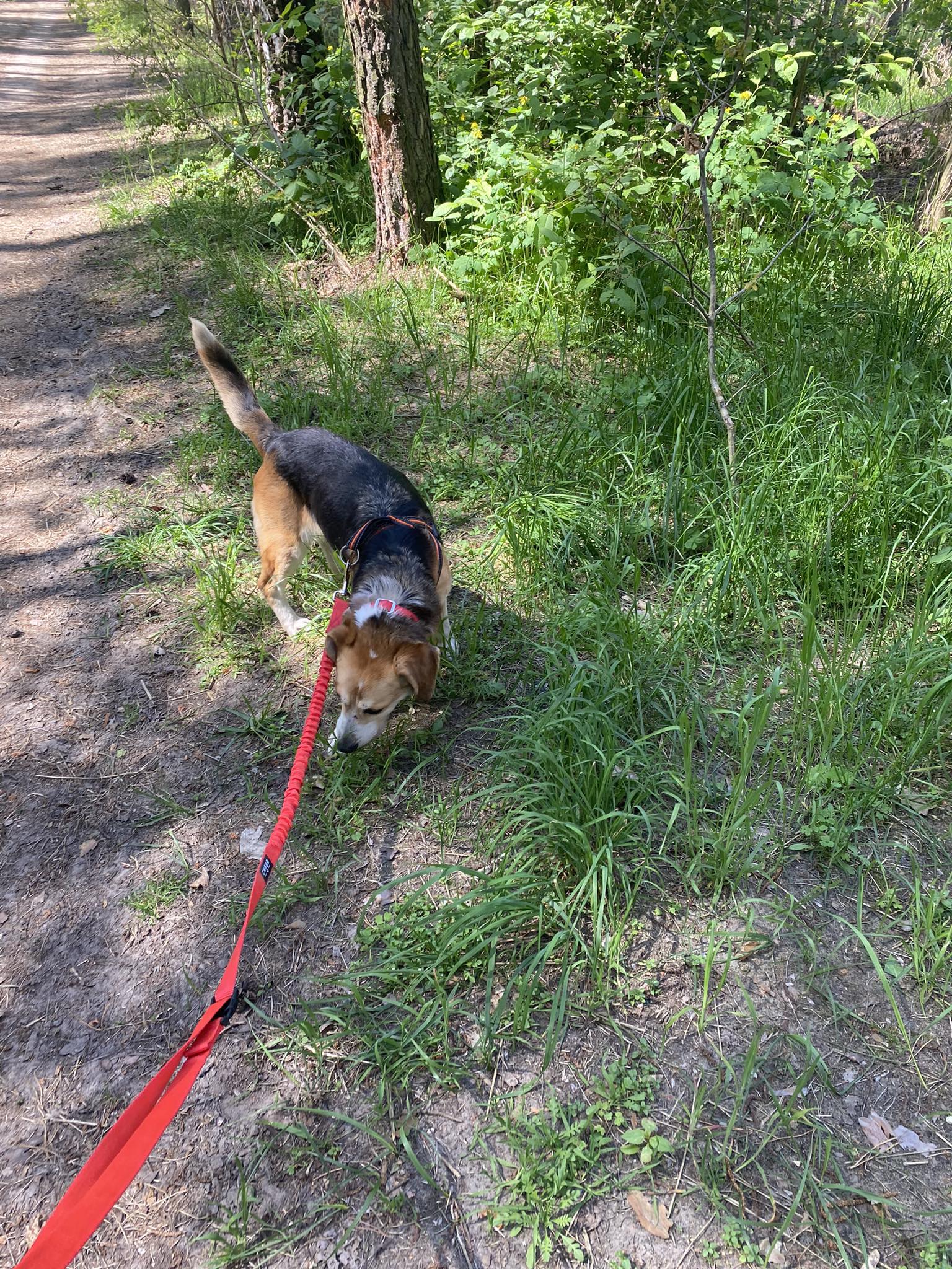 Misia 2 — Postimages