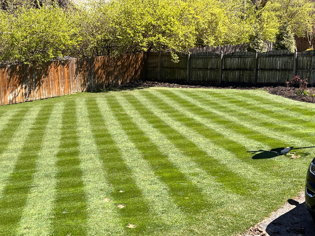 IMG 2682 — Postimages