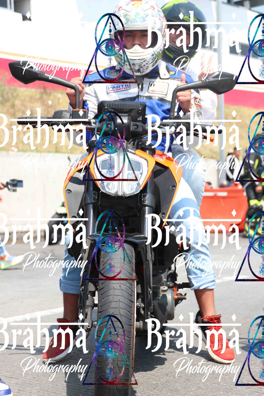 IMG 3904 — Postimages