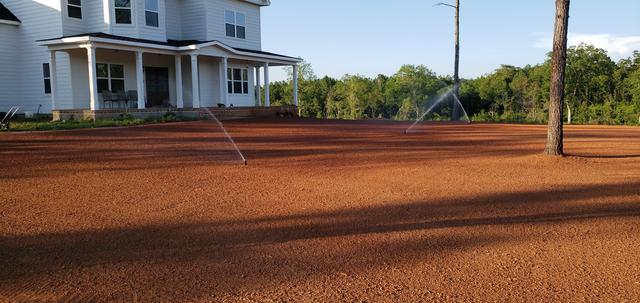 Planting new lawn with Arden 15 Bermudagrass | Lawn Care Forum