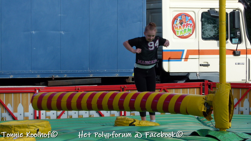 Mad Mill - de Vries (NL) 2 - polypweb.eu