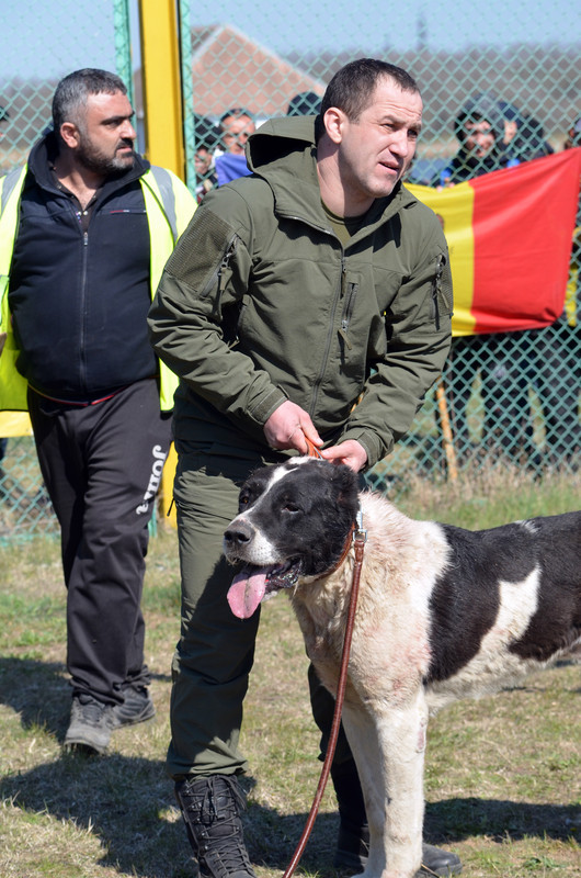 DSC 0208 — Postimages