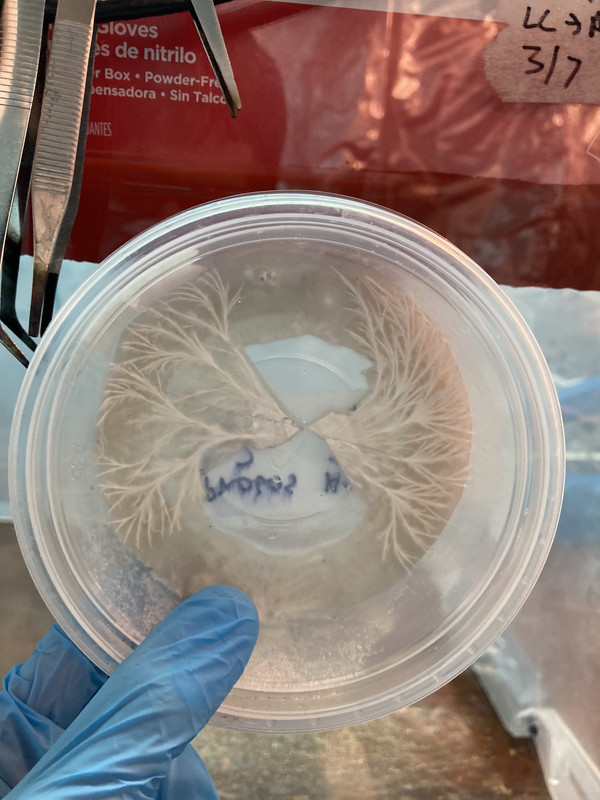 28 AD9 FB4 6 D0 D 42 CE 8 A8 B 9268 BD39 E9 BC — Postimages