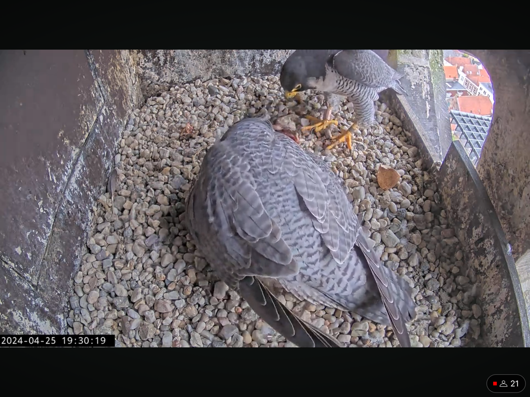 IMG 0357 — Postimages