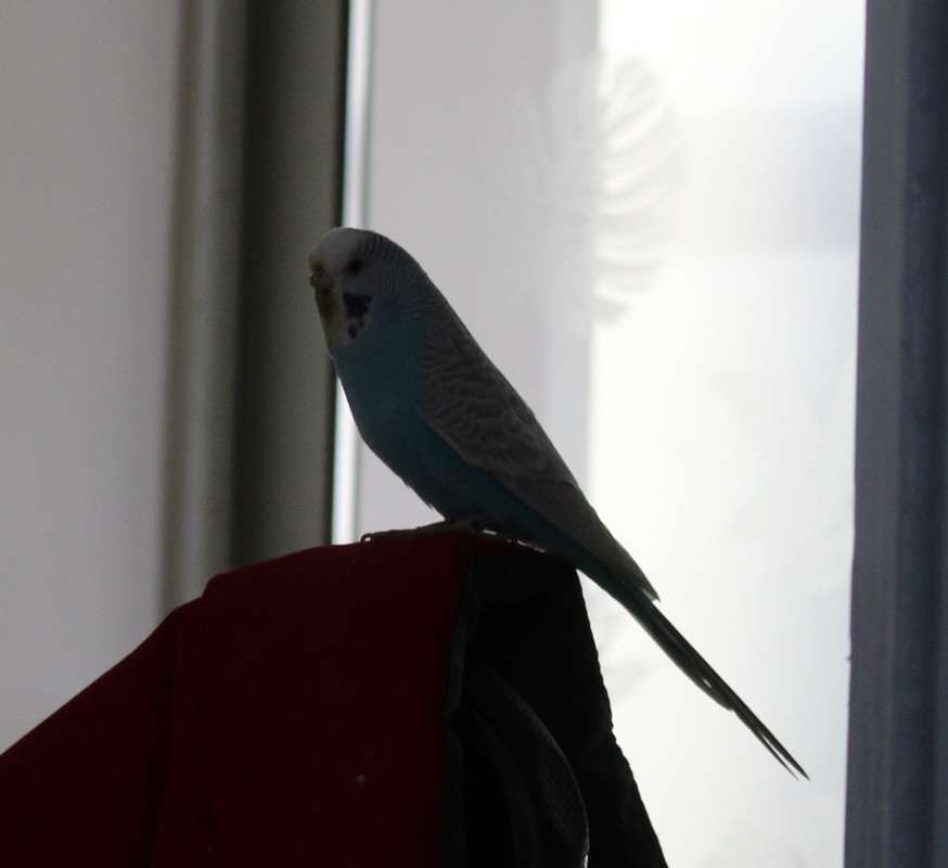 20230801161818 img 0712 — Postimages