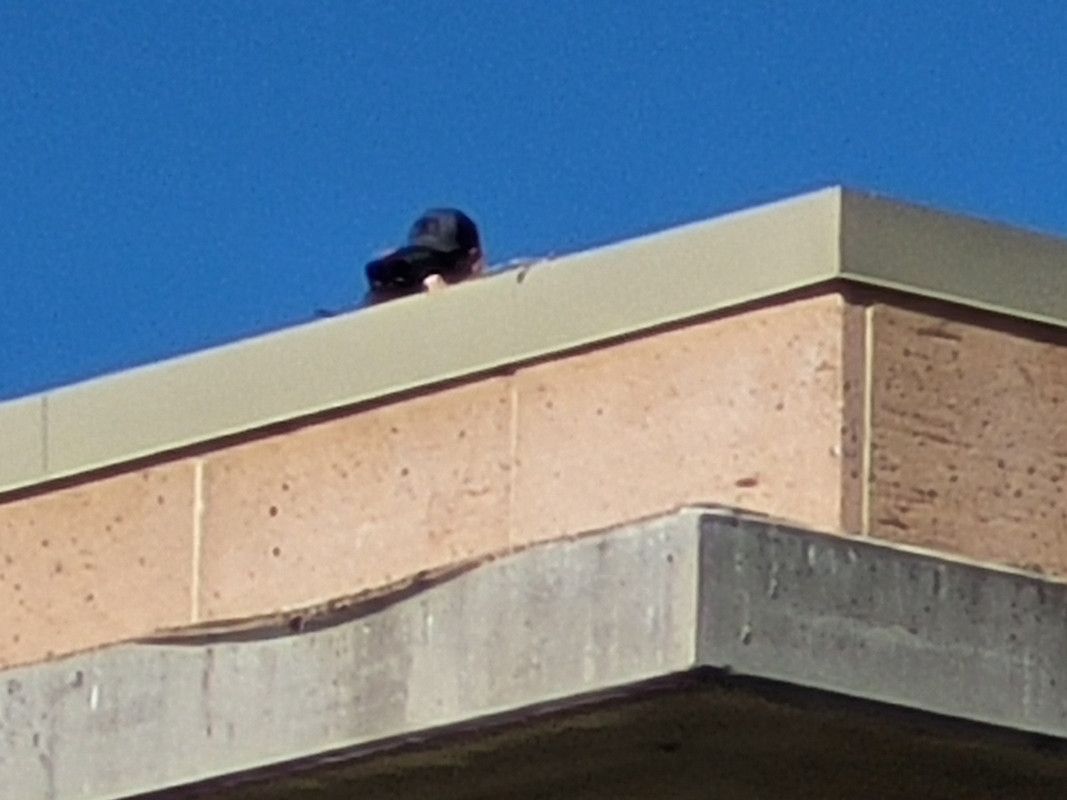 Anyone at the AZ 2A rally? - AR15.COM