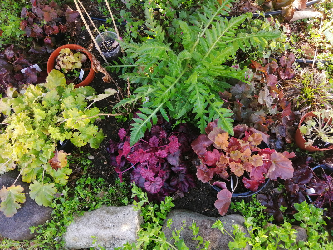 IMG 20210412 180228 — Postimages