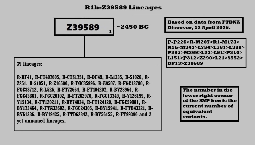 R1b-Z39589 - Printable Version