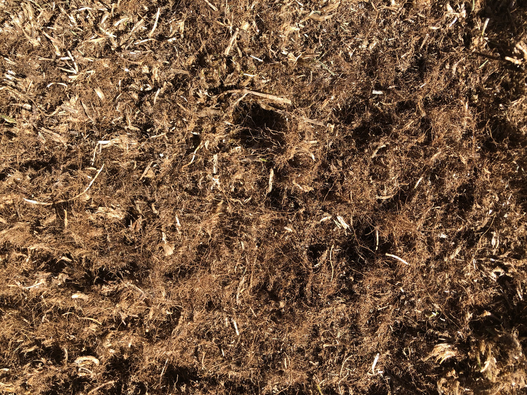 Renovation Thatch Layer Lawn Care Forum 2616