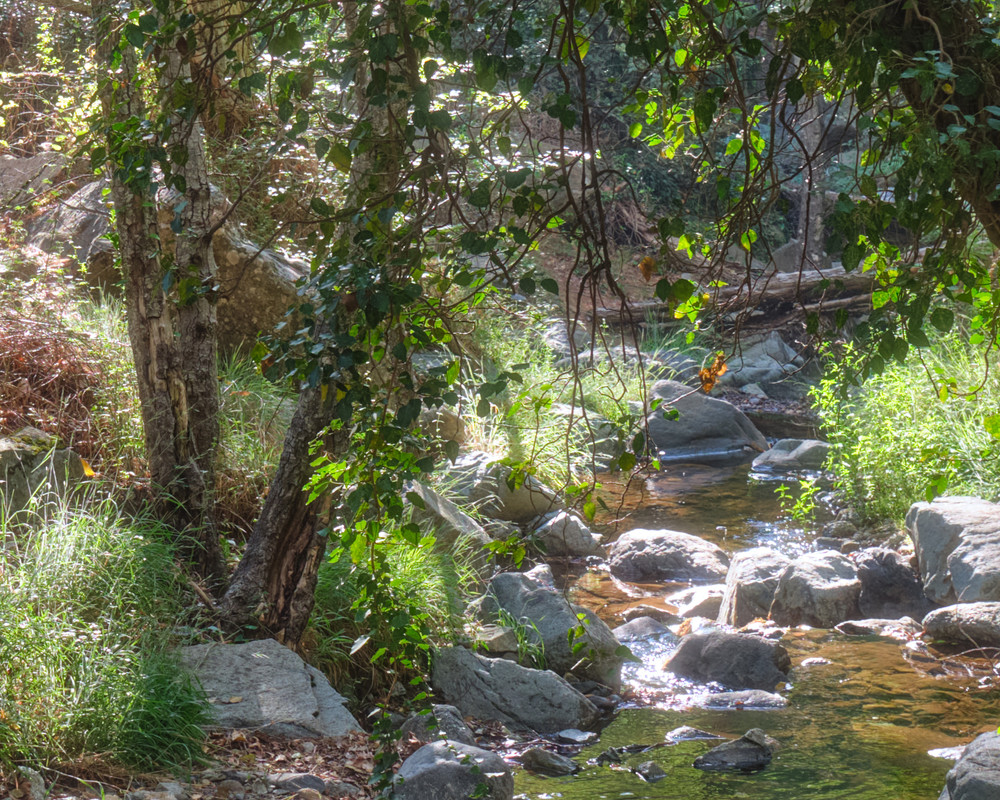 DSCF6554 — Postimages