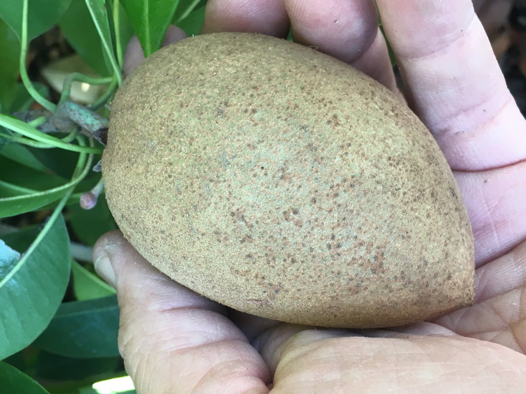 IMG 4663 — Postimages