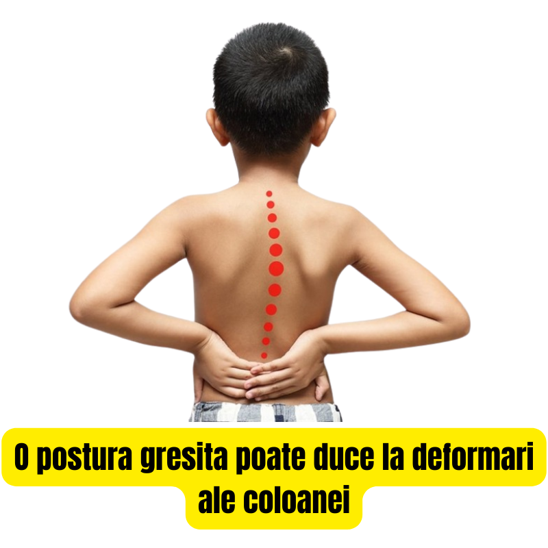 Suport Manuale Scolare, Teme cu Spatele Drept, Albastru - eMAG.ro