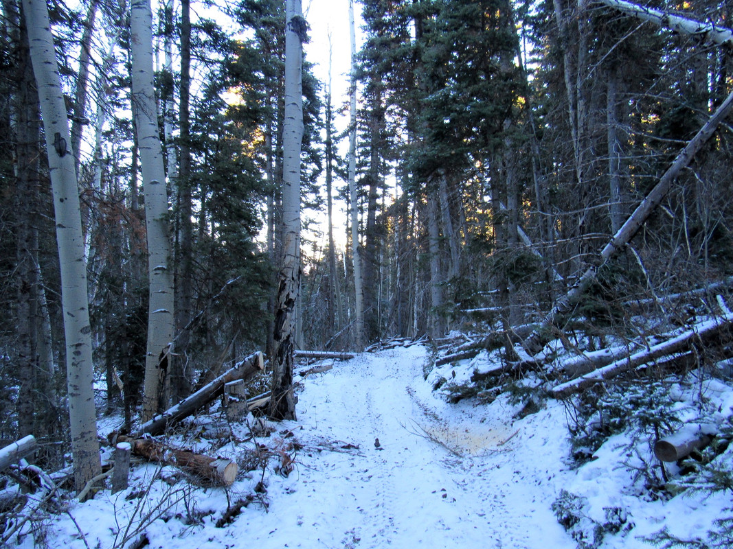 IMG 3285 — Postimages