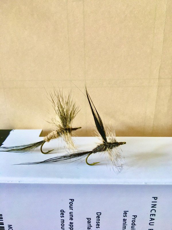 IMG 5044 photo full — Postimages