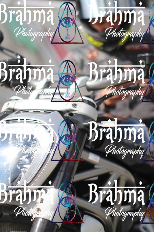 IMG 1237 — Postimages