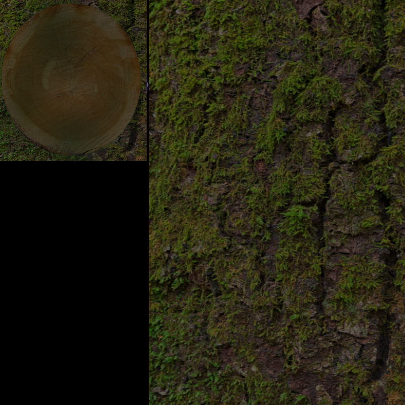 mossy tree dark — Postimages