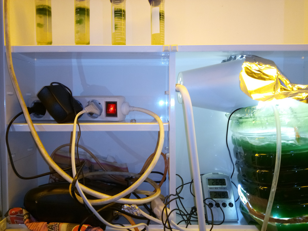 IMG 20221114 121202 456 — Postimages