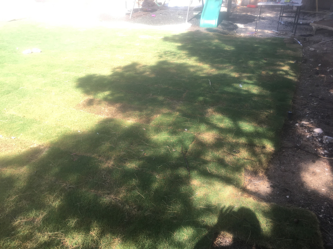 IMG 4096 — Postimages