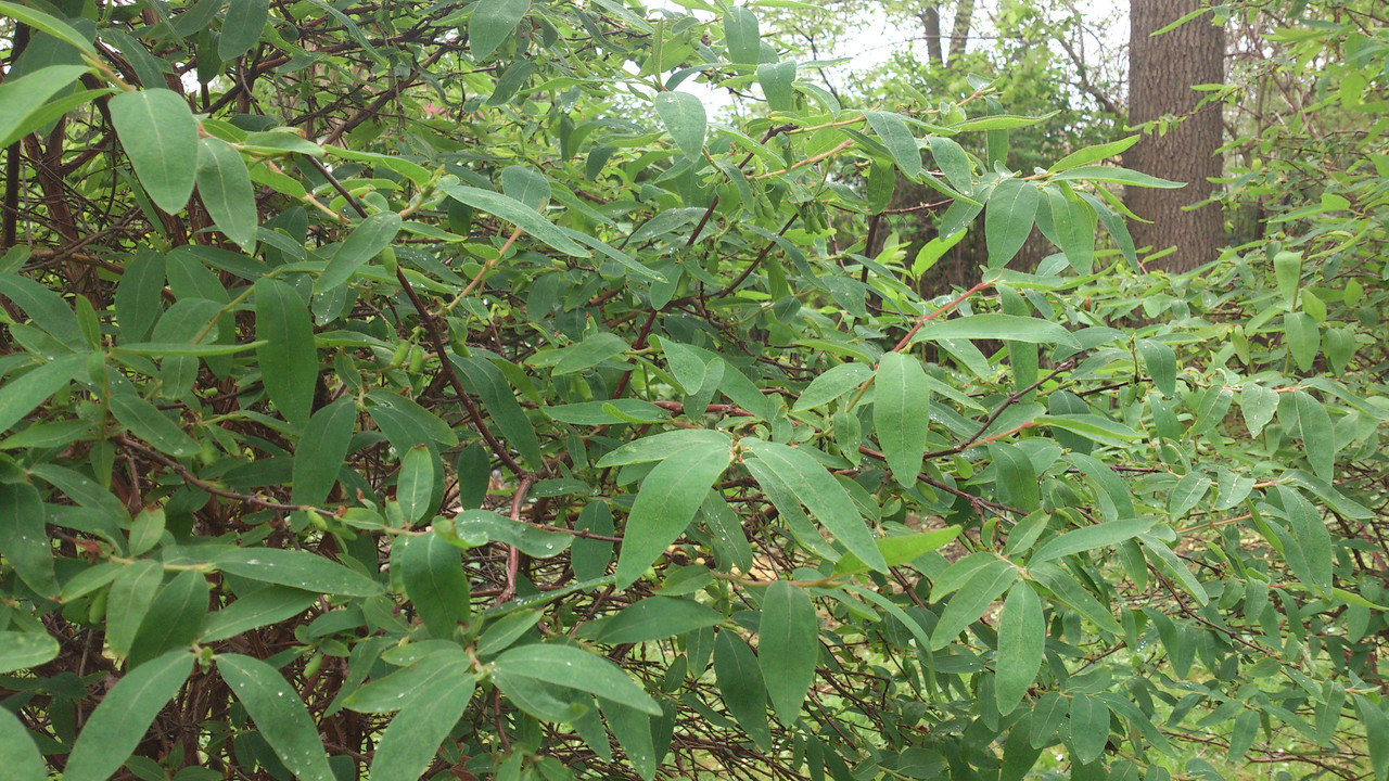 DSC 2849 — Postimages