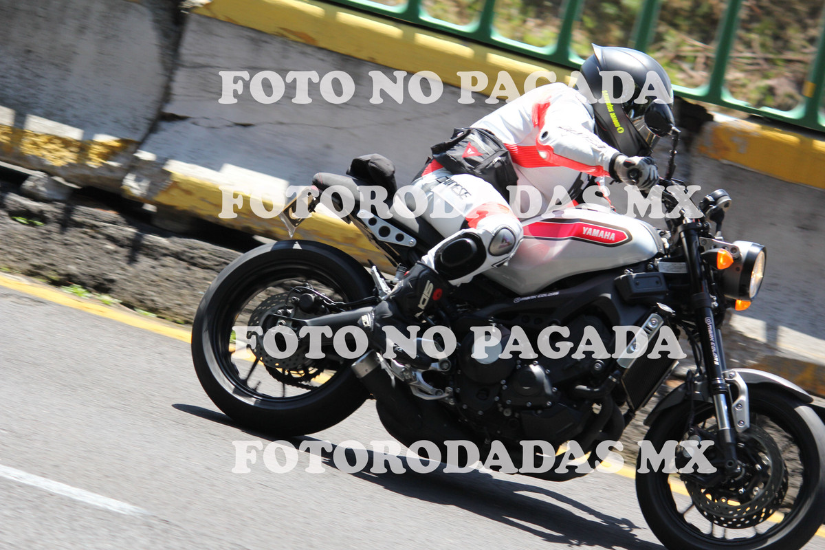 IMG 1677 — Postimages