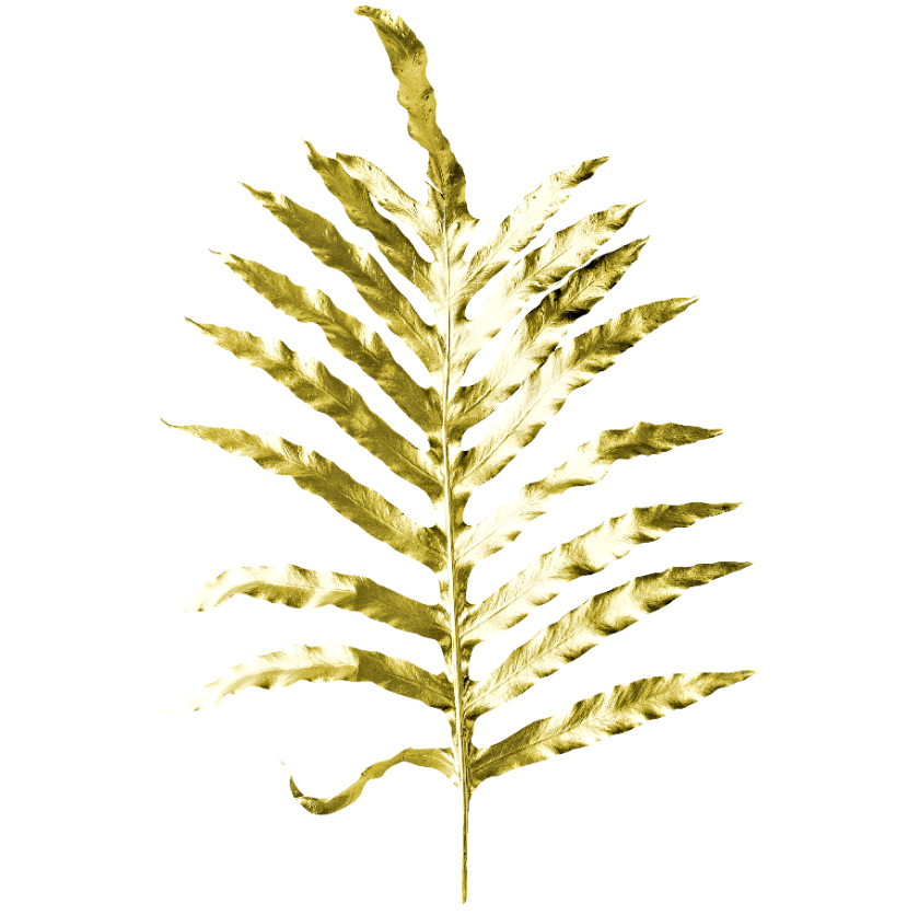 Element (103) — Postimages