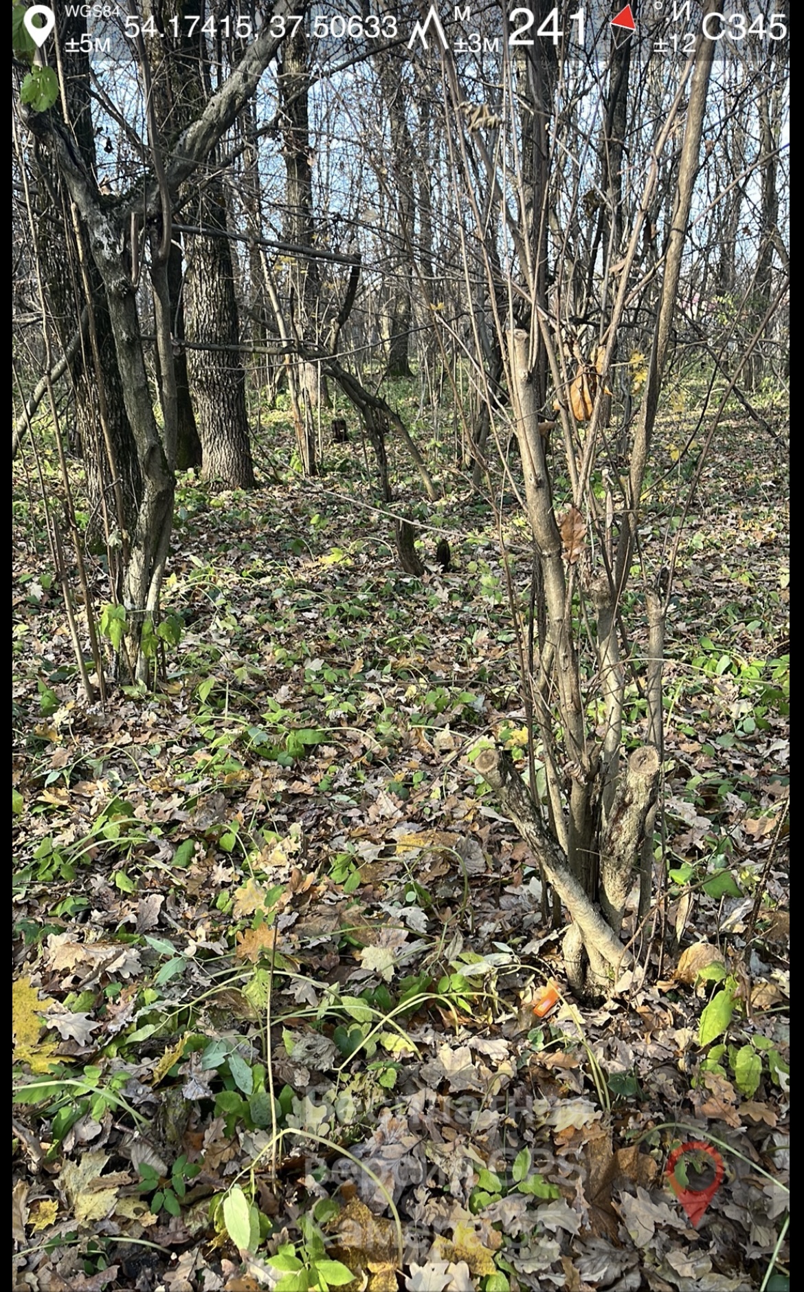 IMG 1834 — Postimages