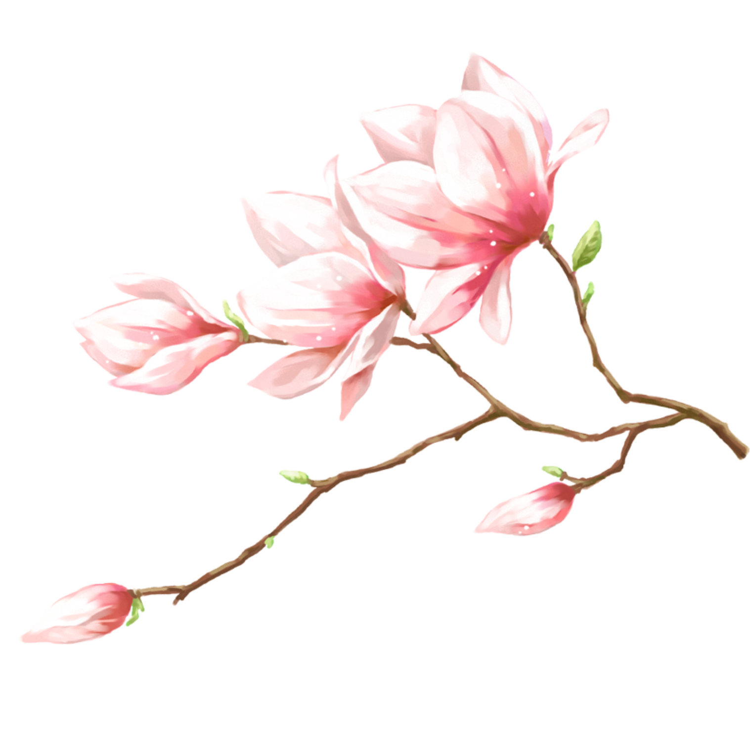 flower — Postimages