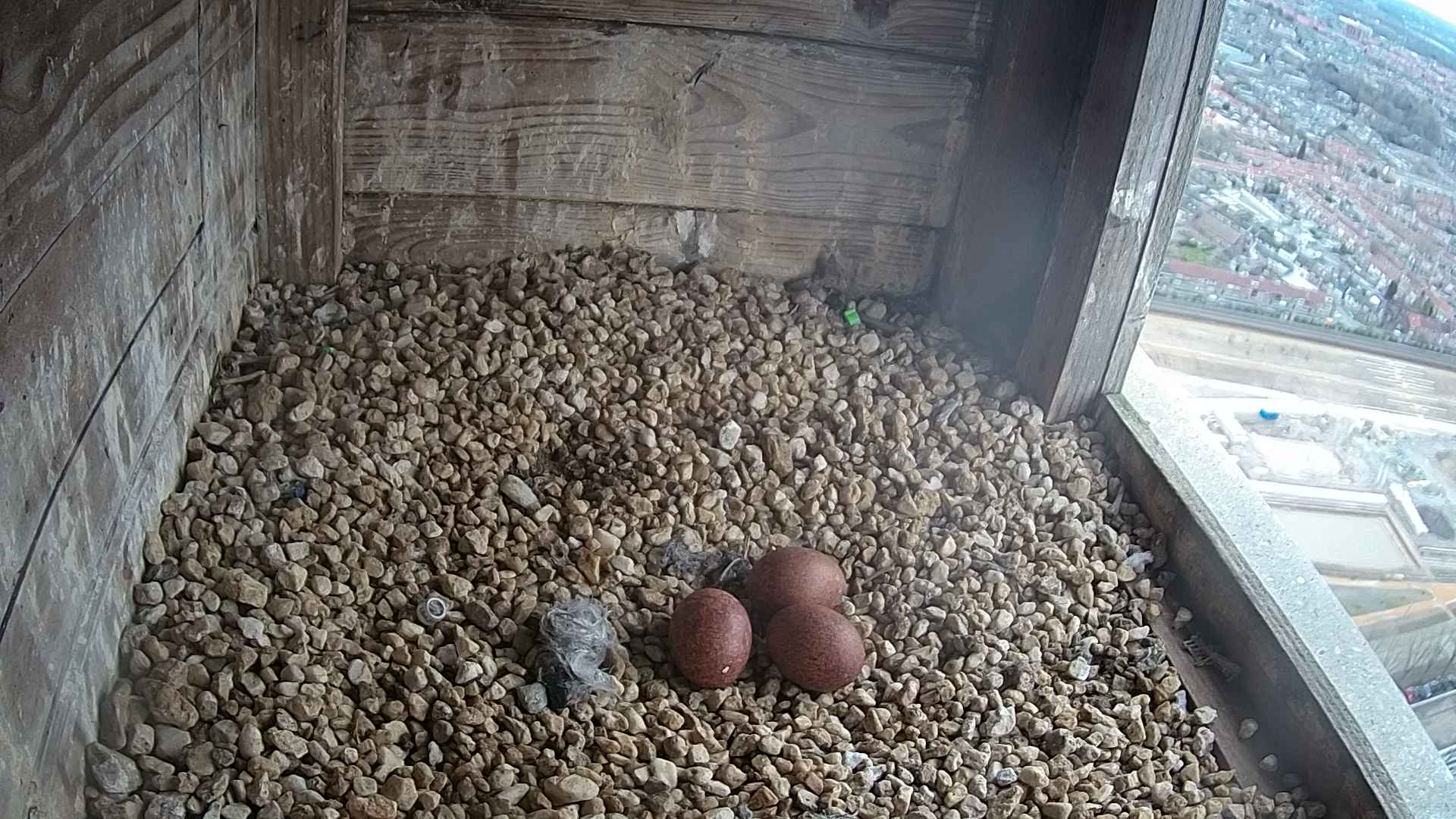 16 3b — Postimages