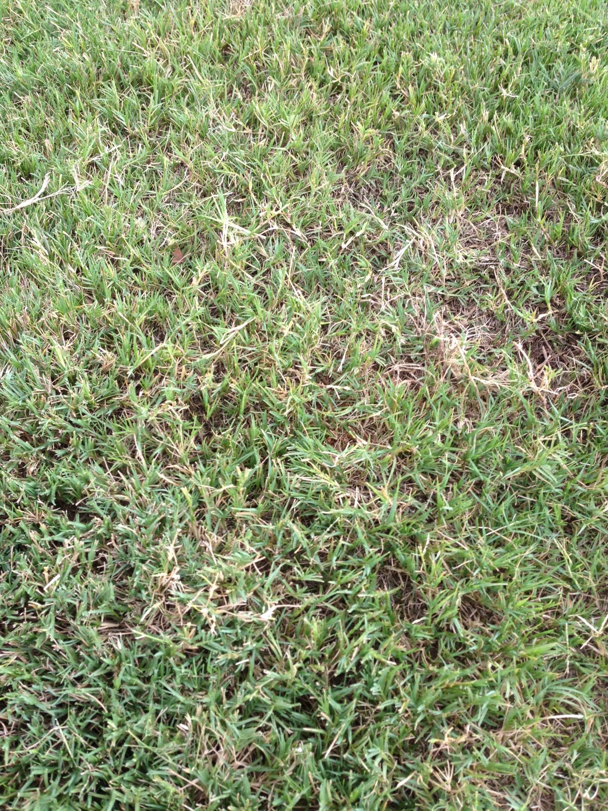 photo 22222 — Postimages