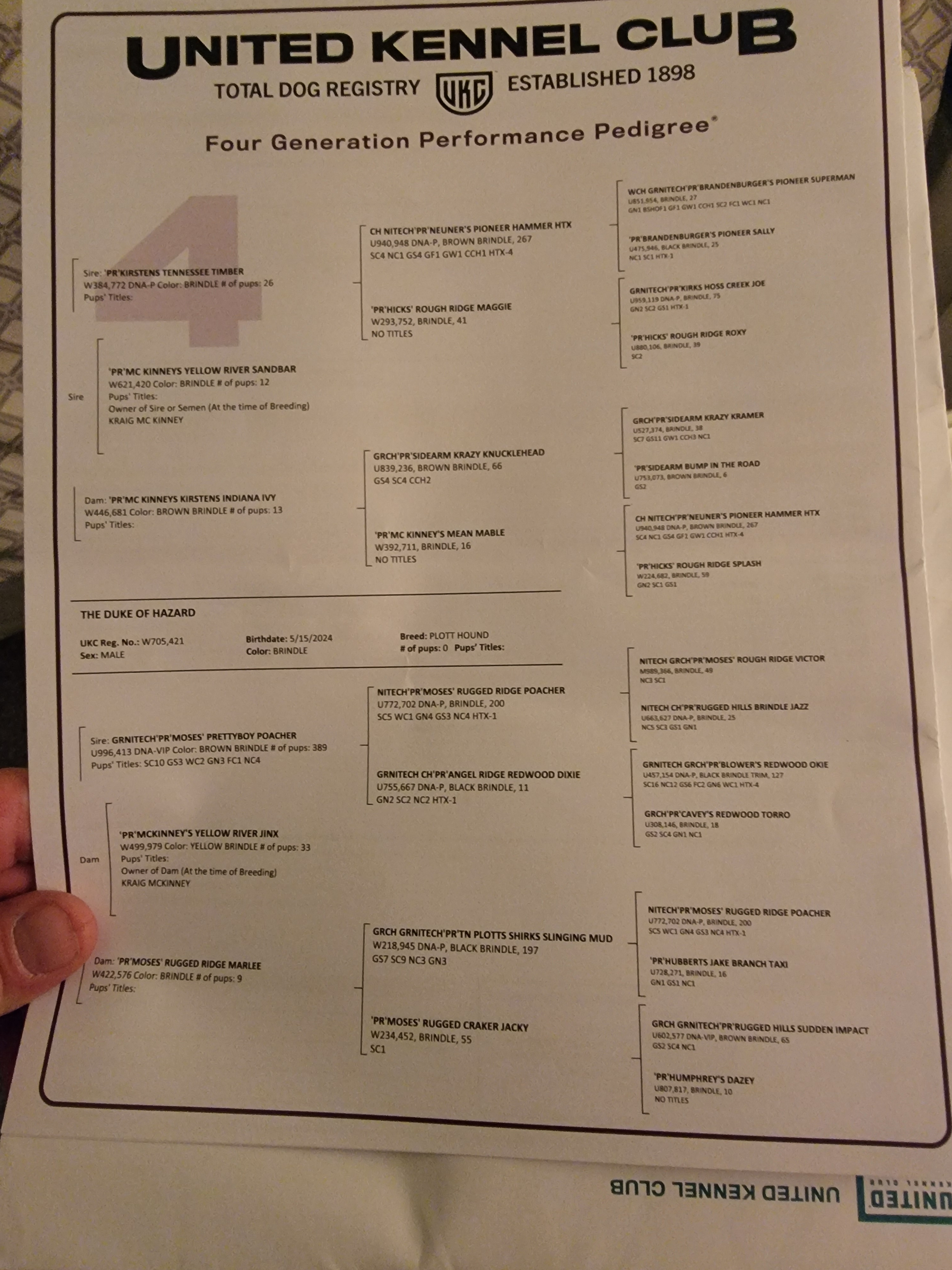 20241223 173255 — Postimages